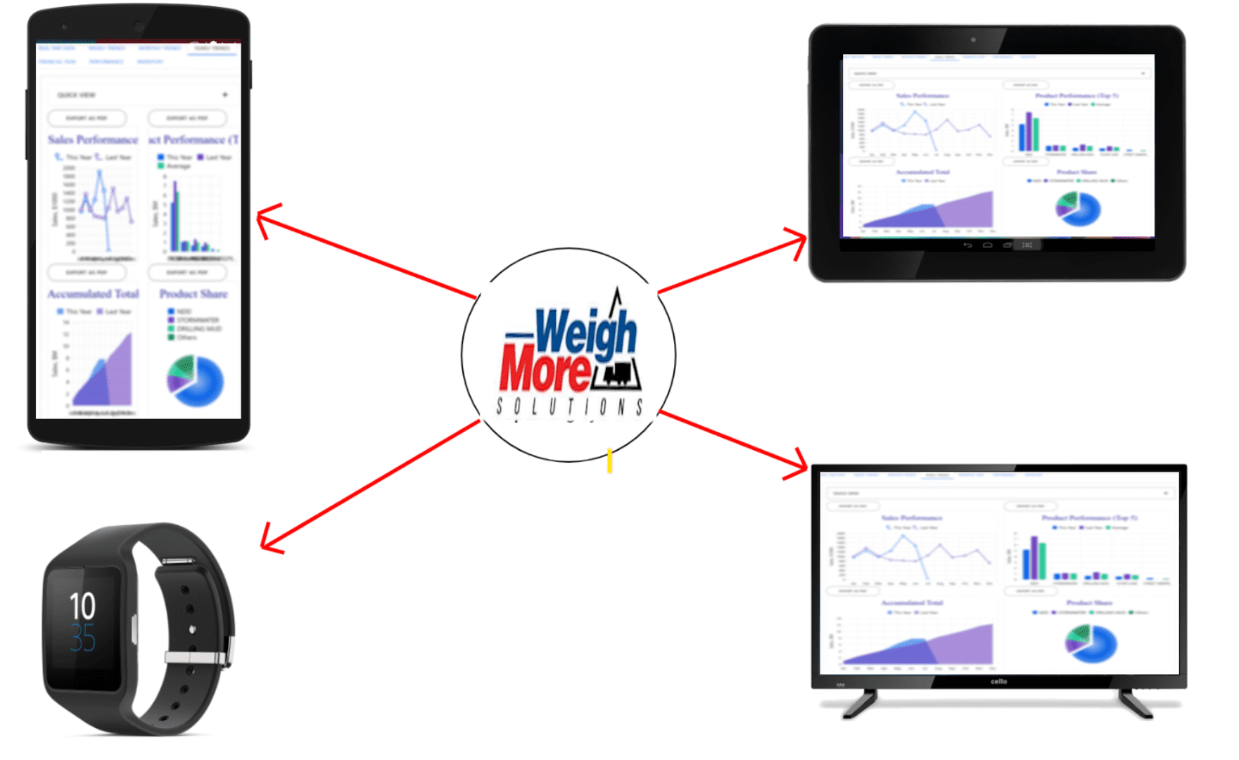 EzyWeigh Software | Weigh More Solutions